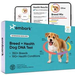 Embark Dog DNA Test Review 2021 | Is Embark Any Good?